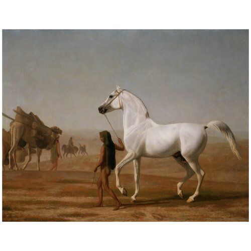 Репродукция на холсте Серый арабский Уэллсли вел через пустыню Агас Жак-Лоран 51см. x 40см.