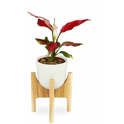 Подставка для цветов деревянная на подоконник настольная Flora Urban Акра, цв: Дуб натуральный Ø: 15 см h: 19,5 см (L)
