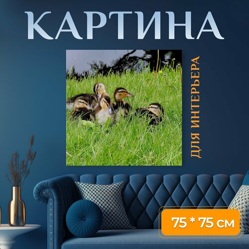 Картина на холсте "Утки, цыпленок, молодые животные" на подрамнике 75х75 см. для интерьера