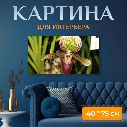 Картина на холсте "Орхидеи, цимбидиум, цветок" на подрамнике 75х40 см. для интерьера