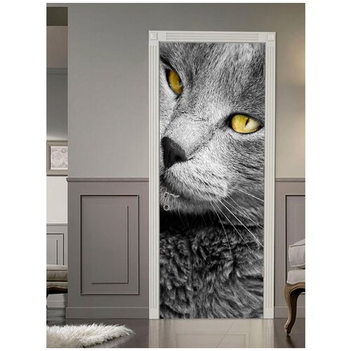 Наклейка интерьерная на дверь "Макро портрет красивого серого кота", самоклеющаяся 80х200 см.