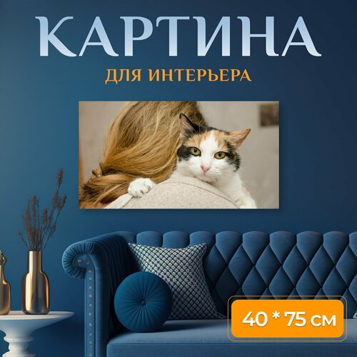 Картина на холсте "Кошка, котенок, домашняя кошка" на подрамнике 75х40 см. для интерьера