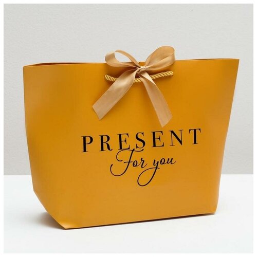 Пакет подарочный Present for you, 26 х 25 х 11 см
