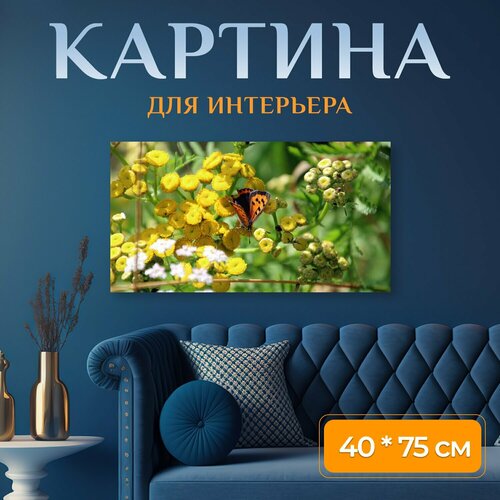 Картина на холсте "Бабочка, цветок, блум" на подрамнике 75х40 см. для интерьера