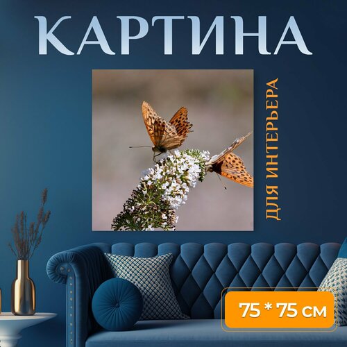 Картина на холсте "Бабочки, куст бабочки, ошибка" на подрамнике 75х75 см. для интерьера