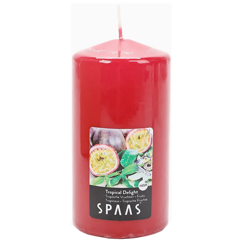 Набор свечей Spaas Tropical Delight арома столбик, красный