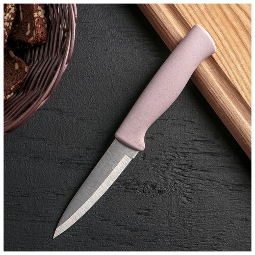 Нож для чистки овощей Доляна «Ринго», лезвие 9 см, цвет микс