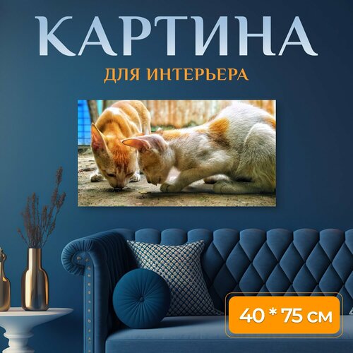 Картина на холсте "Кошка, котенок, милый" на подрамнике 75х40 см. для интерьера