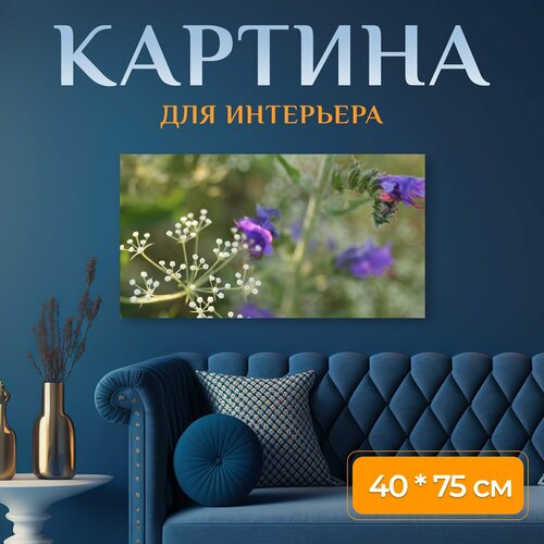 Картина на холсте "Полевые цветы, белый, пурпурный" на подрамнике 75х40 см. для интерьера