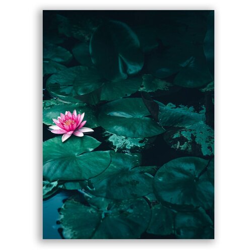 Постер цветы на бумаге / Lotus / Лотос