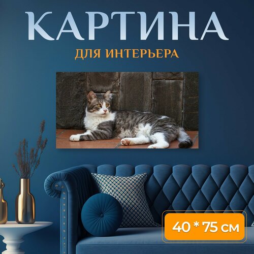 Картина на холсте "Кошка, котенок, животное" на подрамнике 75х40 см. для интерьера