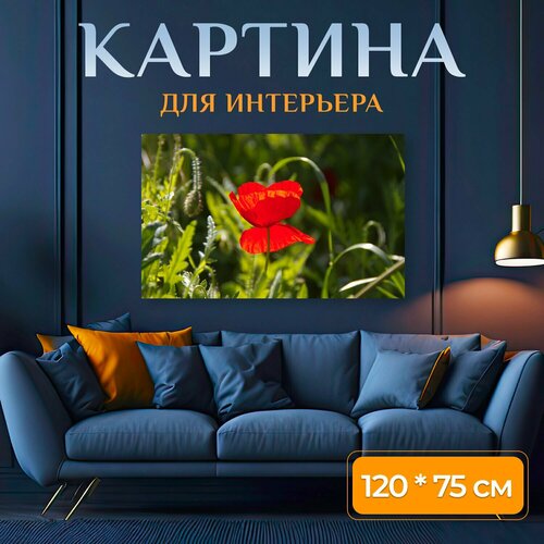Картина на холсте "Мака, сад, красный" на подрамнике 120х75 см. для интерьера
