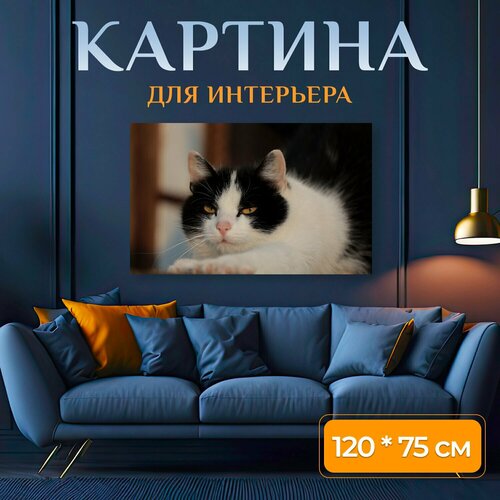 Картина на холсте "Кот, портрет, глаза" на подрамнике 120х75 см. для интерьера