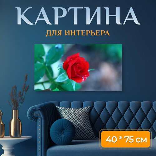 Картина на холсте "Роза, красный, цветы" на подрамнике 75х40 см. для интерьера