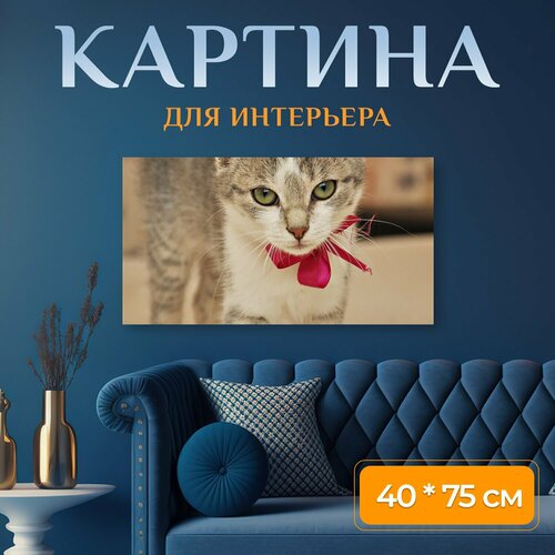 Картина на холсте "Кот, котёнок, домашнее животное" на подрамнике 75х40 см. для интерьера