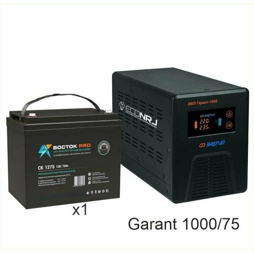 Энергия Гарант-1000 + Восток PRO СК-1275