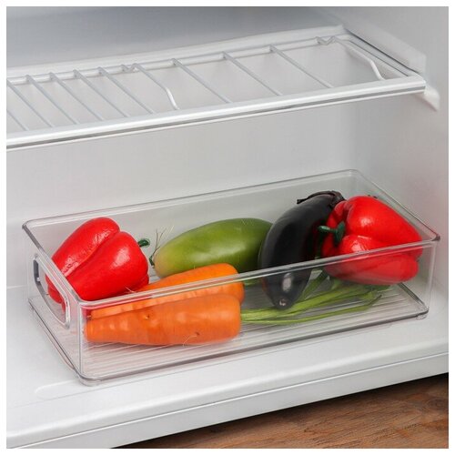 Органайзер для холодильника Berkana 31 2×15 2×7 5 см цвет прозрачный