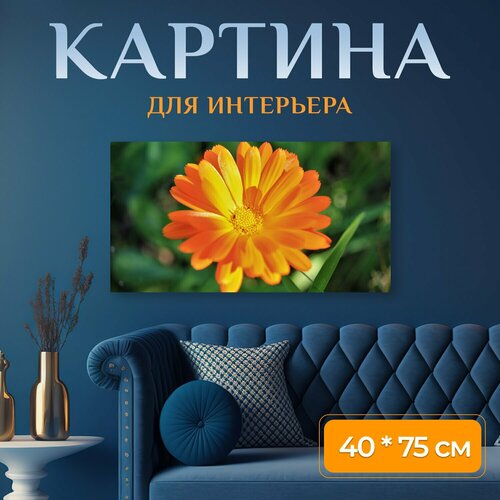 Картина на холсте "Апельсин, цвести, весна" на подрамнике 75х40 см. для интерьера