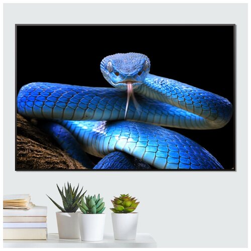 Постер Голубая Змея 90х60 см в тубусе ПолиЦентр