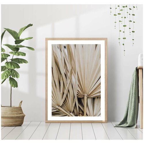Постер без рамки "Сухие пальмовые листья" 40 на 50 в тубусе / Картина для интерьера / Плакат / Постер на стену / Интерьерные картины