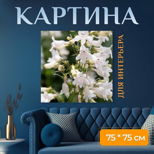 Картина на холсте "Цветы, летом, белые цветки" на подрамнике 75х75 см. для интерьера