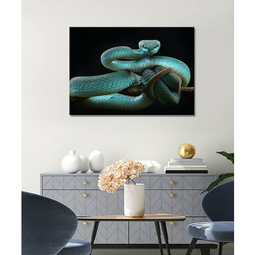 Картина - змея, голубая змея, крупная змея, змея на ветке, змея на чёрном фоне (6) 20х30