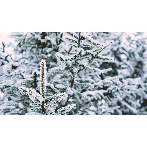 Картина на холсте 60x110 Альянс Лес "Елка снег зима" на подрамнике / интерьер/ декор