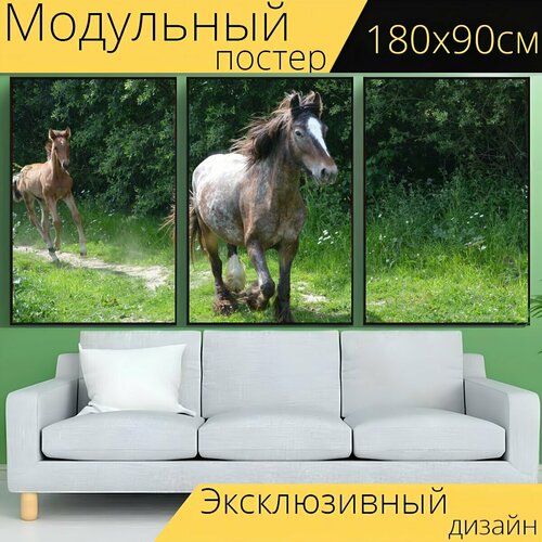 Модульный постер "Кобыла, лошадь, жеребенок" 180 x 90 см. для интерьера