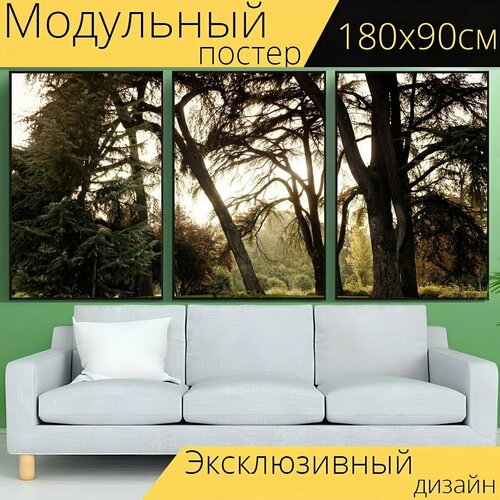 Модульный постер "Центральный парк, природа, милан" 180 x 90 см. для интерьера