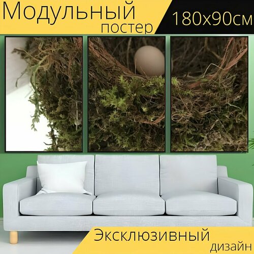 Модульный постер "Гнездо, яйцо, птица" 180 x 90 см. для интерьера