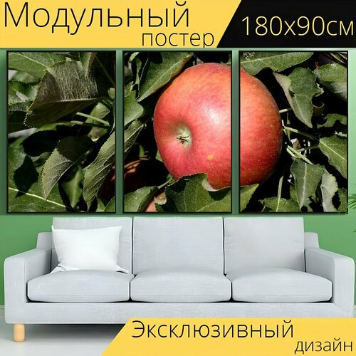 Модульный постер "Яблоко, фрукты, красный" 180 x 90 см. для интерьера