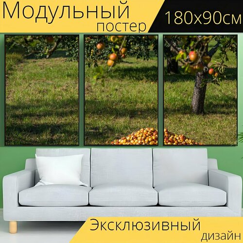 Модульный постер "Яблоки, яблоко, фрукты" 180 x 90 см. для интерьера
