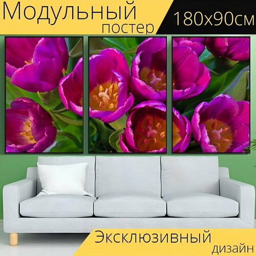 Модульный постер "Тюльпаны, розовый, цветы" 180 x 90 см. для интерьера