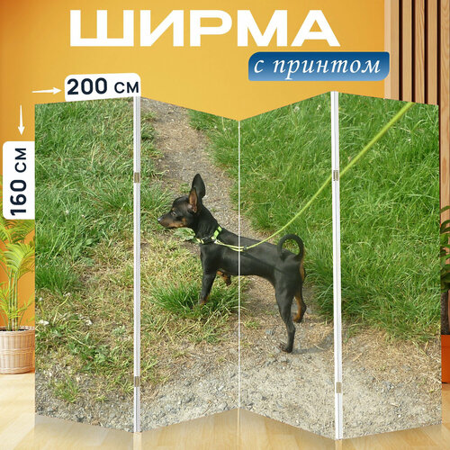 Ширма перегородка с принтом "Мужчина, собака, животное" на холсте - 200x160 см. для зонирования, раскладная