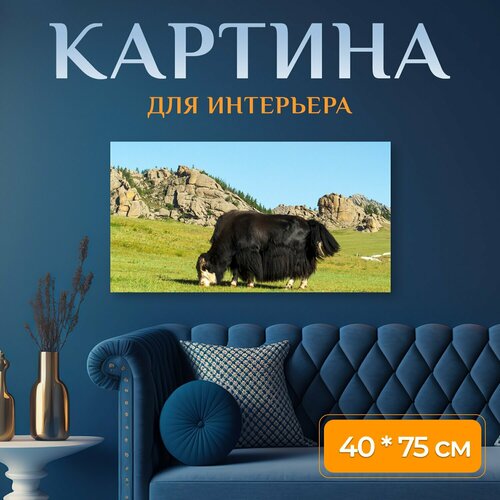 Картина на холсте "Як, пастбище, домашний скот" на подрамнике 75х40 см. для интерьера