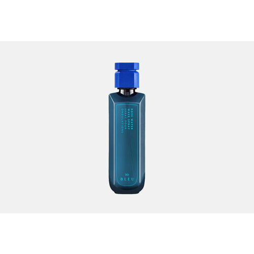 Спрей для создания волнистой текстуры волос R+Co BLEU, Rose Water The Art of Style 201шт