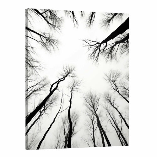 Интерьерная картина 50х70 "Зимнее созерцание"
