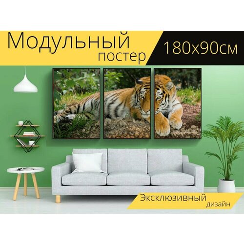 Модульный постер "Тигр, хищник, животное" 180 x 90 см. для интерьера