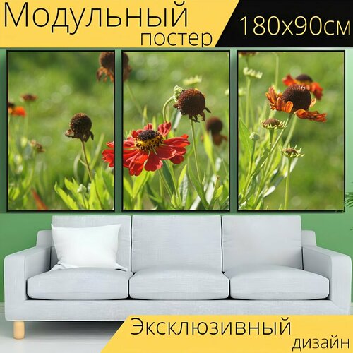 Модульный постер "Цветы, растения, луг" 180 x 90 см. для интерьера
