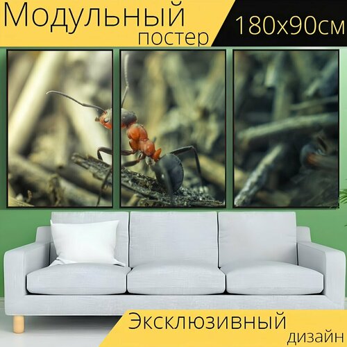 Модульный постер "Муравей, макрос, насекомое" 180 x 90 см. для интерьера