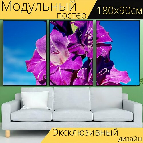 Модульный постер "Гладиолусы, цветок, цвести" 180 x 90 см. для интерьера