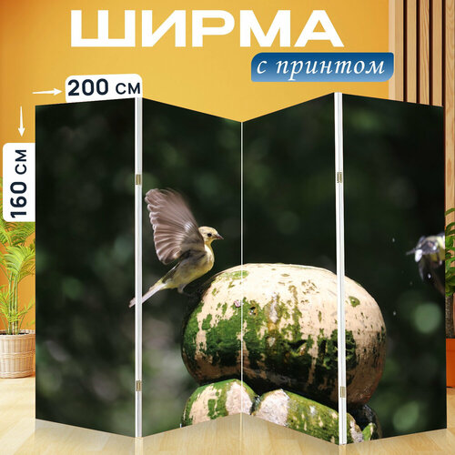 Ширма перегородка с принтом "Птица, фонтан, животное" на холсте - 200x160 см. для зонирования, раскладная