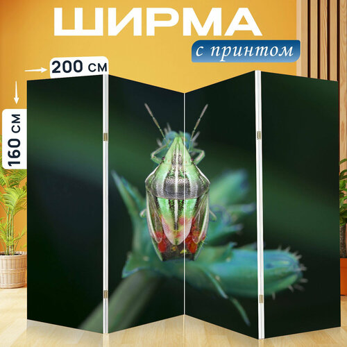 Ширма перегородка с принтом "Природа, насекомое, лист" на холсте - 200x160 см. для зонирования, раскладная