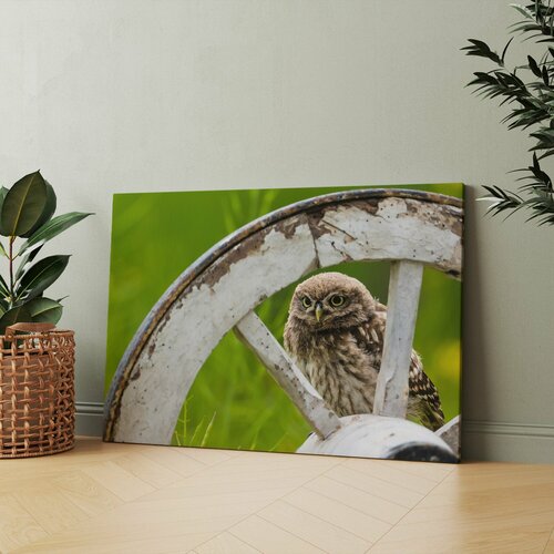 Картина на холсте "Маленькая сова сидит на колесе" 50x70 см. Интерьерная, на стену.