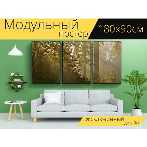 Модульный постер "Природа, лес, туман" 180 x 90 см. для интерьера