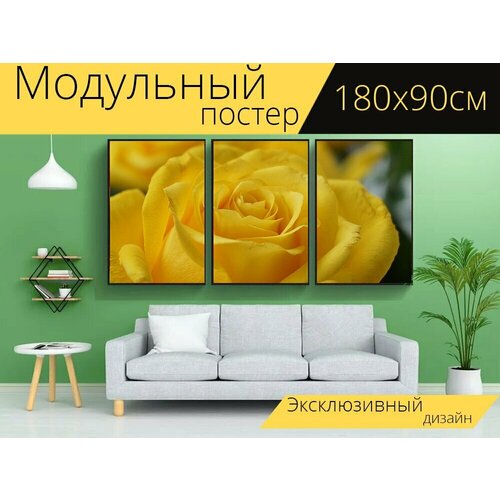 Модульный постер "Желтая роза, роуз, цветок" 180 x 90 см. для интерьера