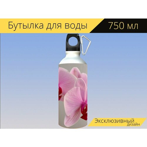 Бутылка фляга для воды "Орхидея, фаленопсис, цвести" 750 мл. с карабином и принтом