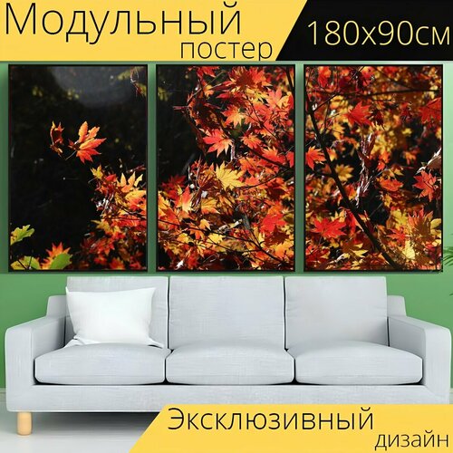 Модульный постер "Осенние листья, кленовое дерево, лист" 180 x 90 см. для интерьера