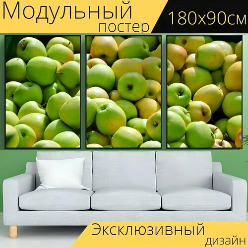 Модульный постер "Яблоки, уборка урожая, спелый" 180 x 90 см. для интерьера