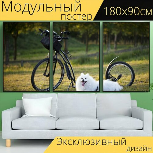 Модульный постер "Собака, скутер, велосипед" 180 x 90 см. для интерьера